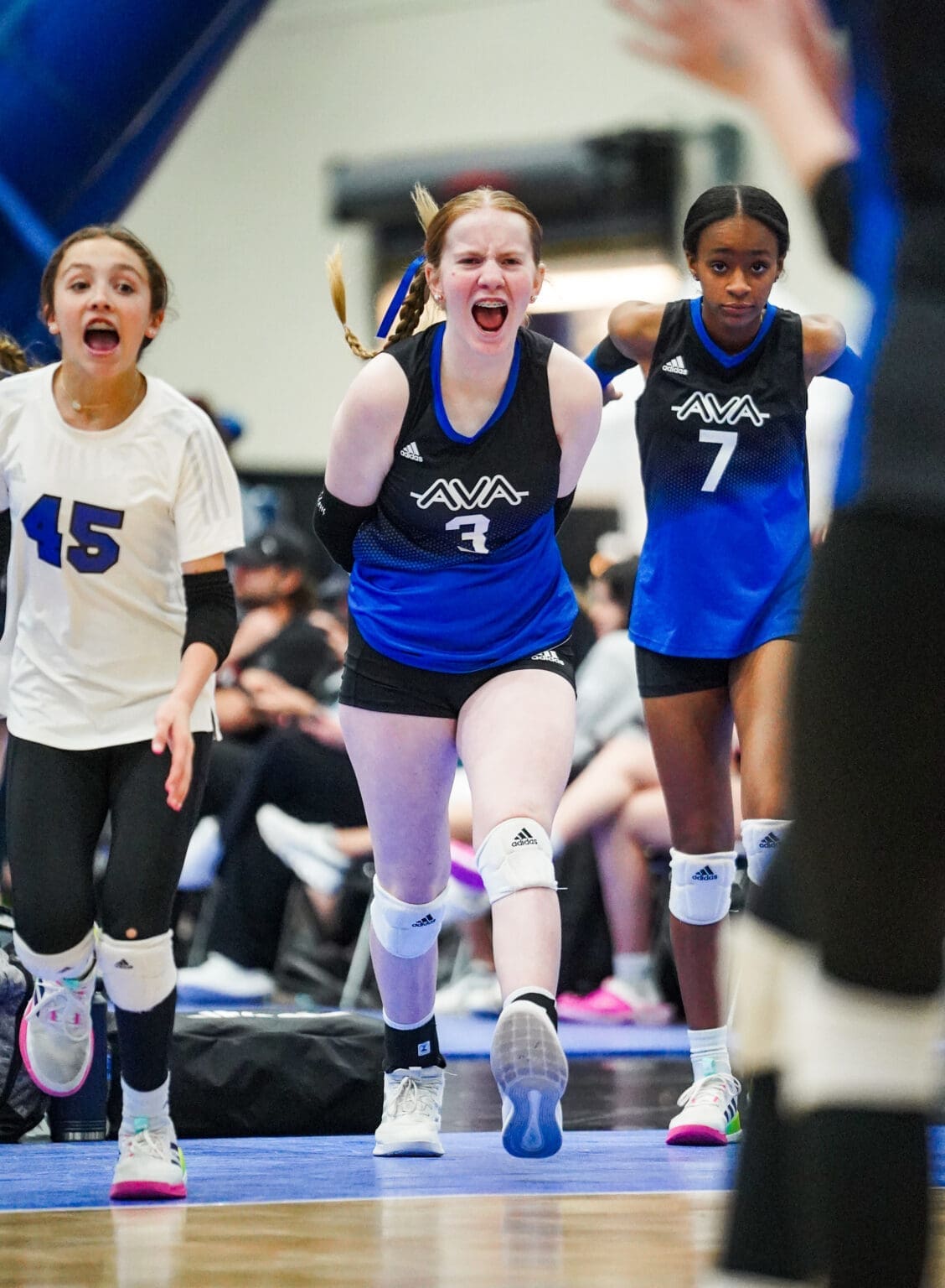 Home | Absolute Volleyball Academy